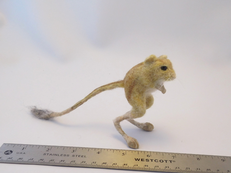 Pygmy Jerboa